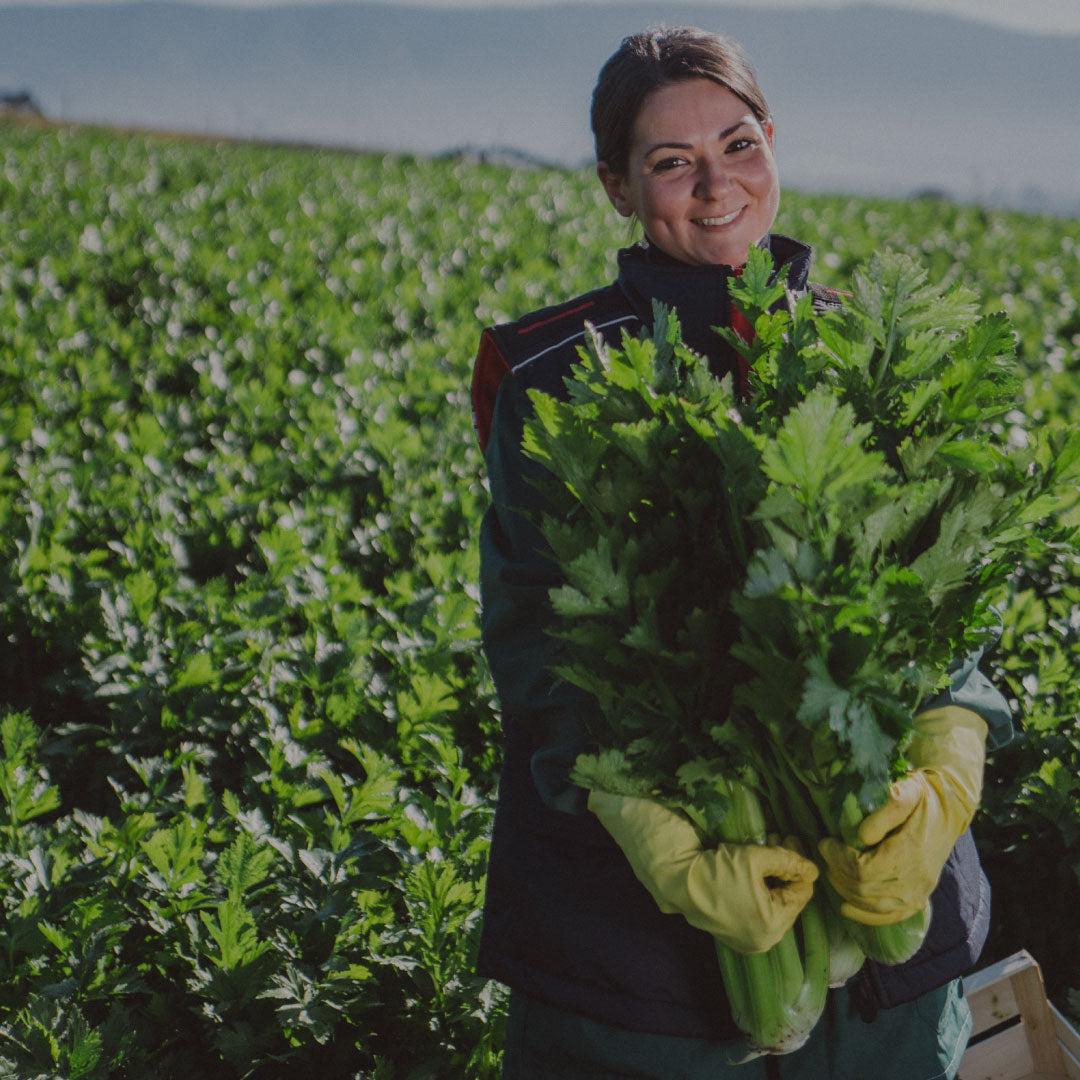 The History of Bio Orto | Tradition and Innovation